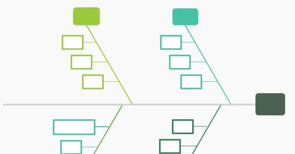 To learn the fishbone diagram thoroughly, you just need to read this ...